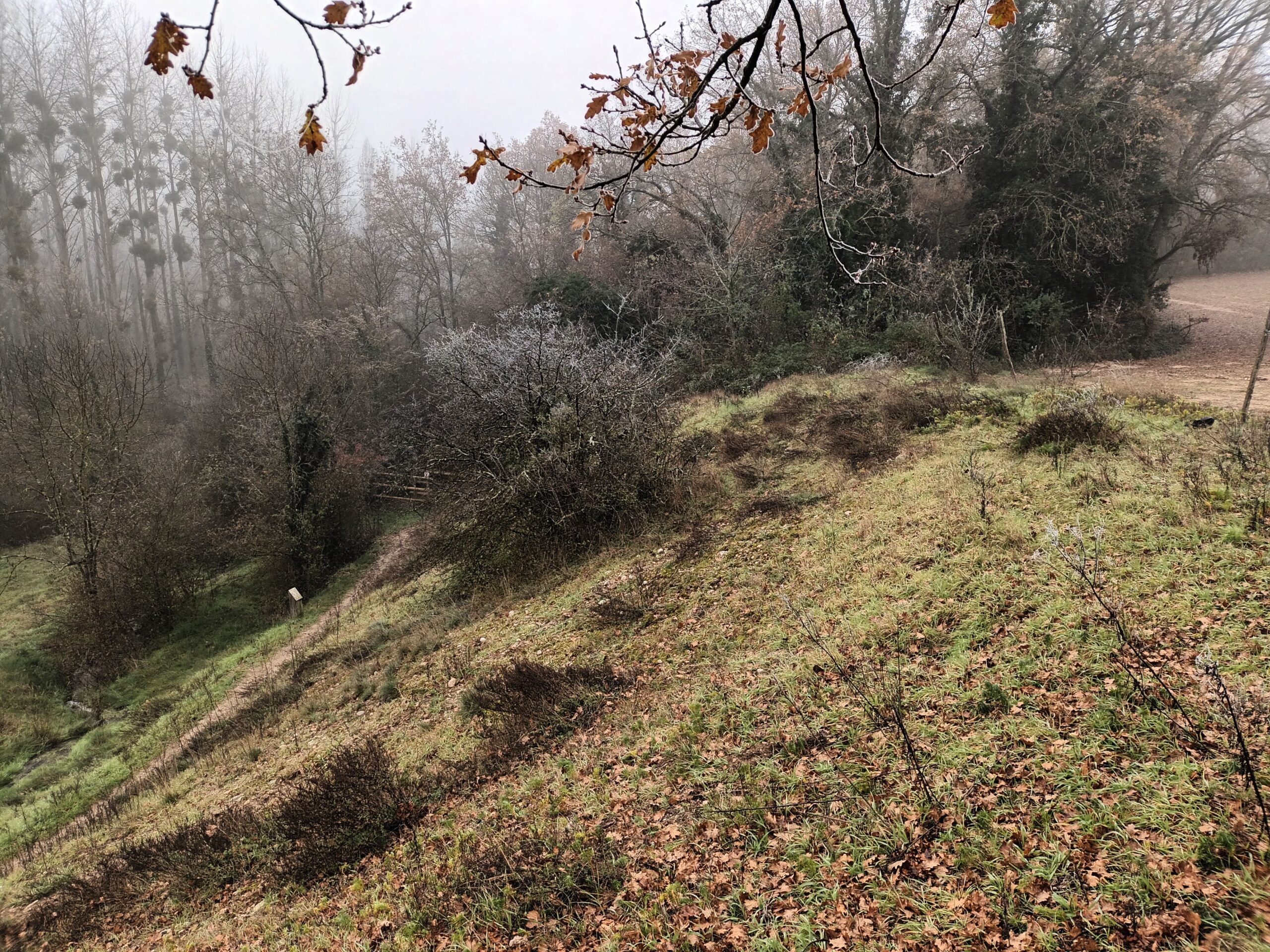 Sortie nature : entretien de pelouses sableuses et prairies sèches ...